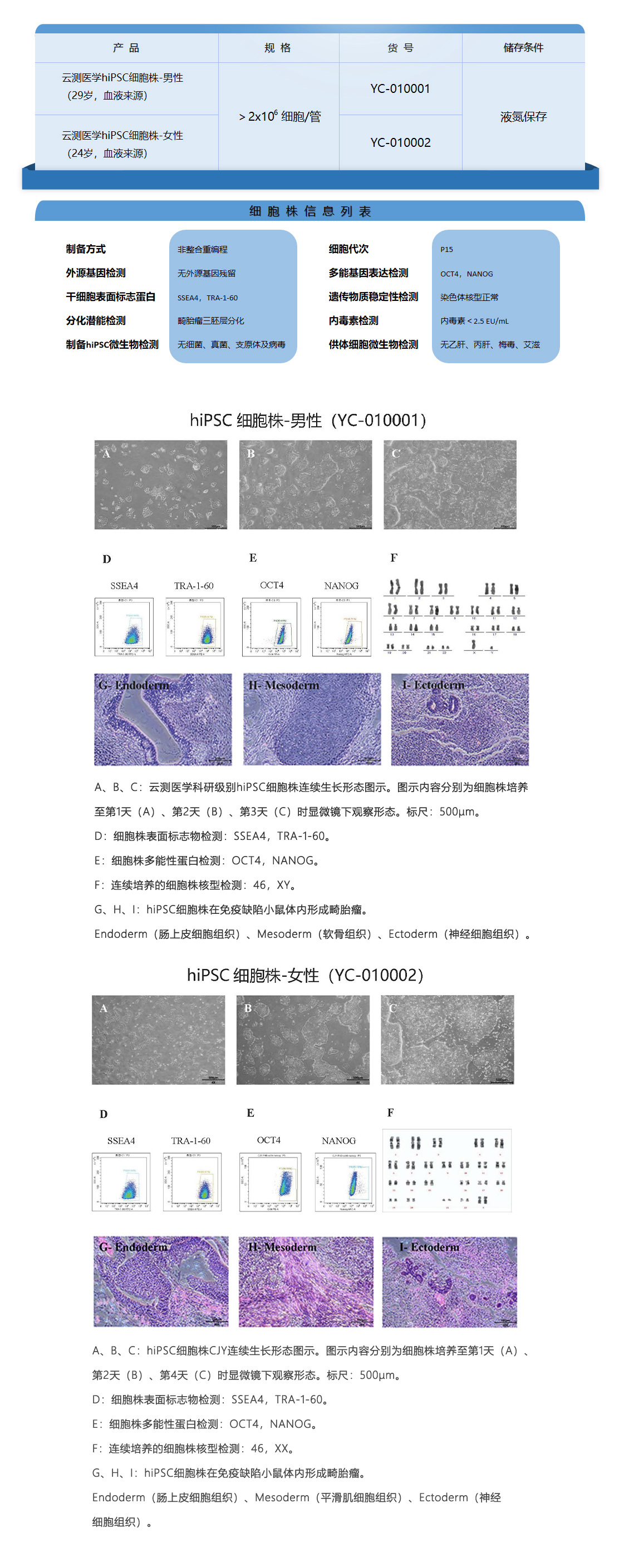hiPSC-男/女 - 成都云测医学生物技术有限公司